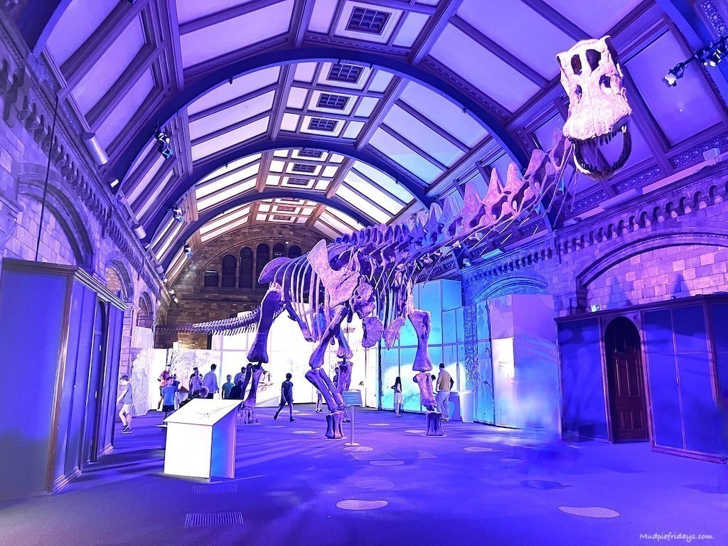 Natural History Museum Titanosaur the biggest Dinosaur